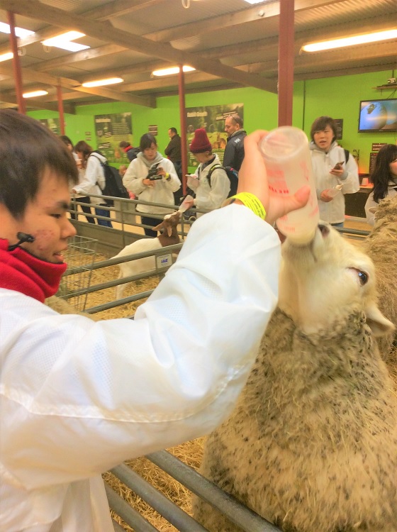 Overseas training | KYUSHU ANIMAL ACADEMY